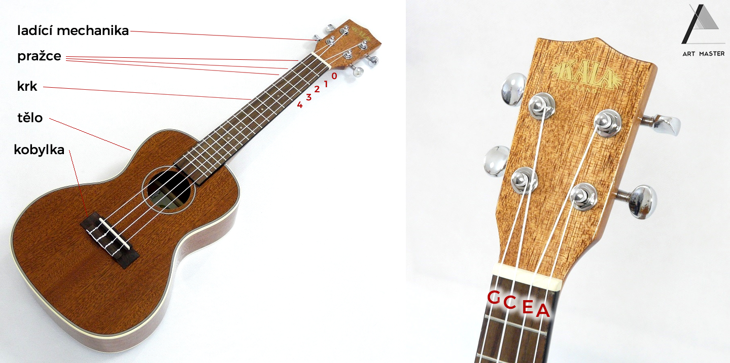 Ukulele – minikurz pro začátečníky | ArtMaster